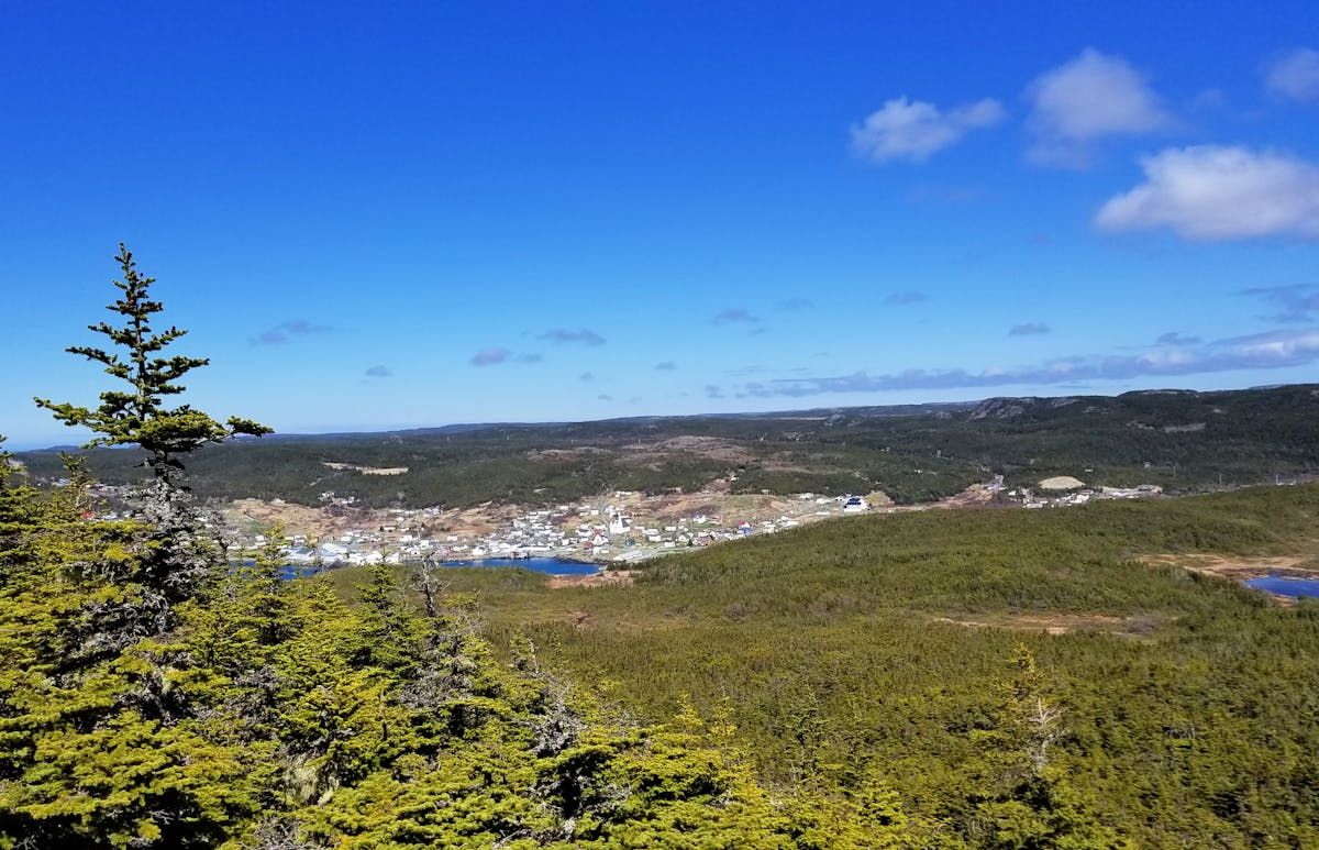Was Newfoundland really a popular place for pirates to hide their gold ...
