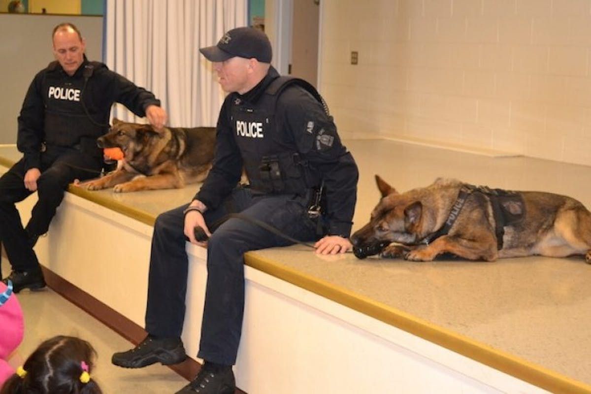Police service dogs capture students’ interest Gallery | PNI Atlantic News