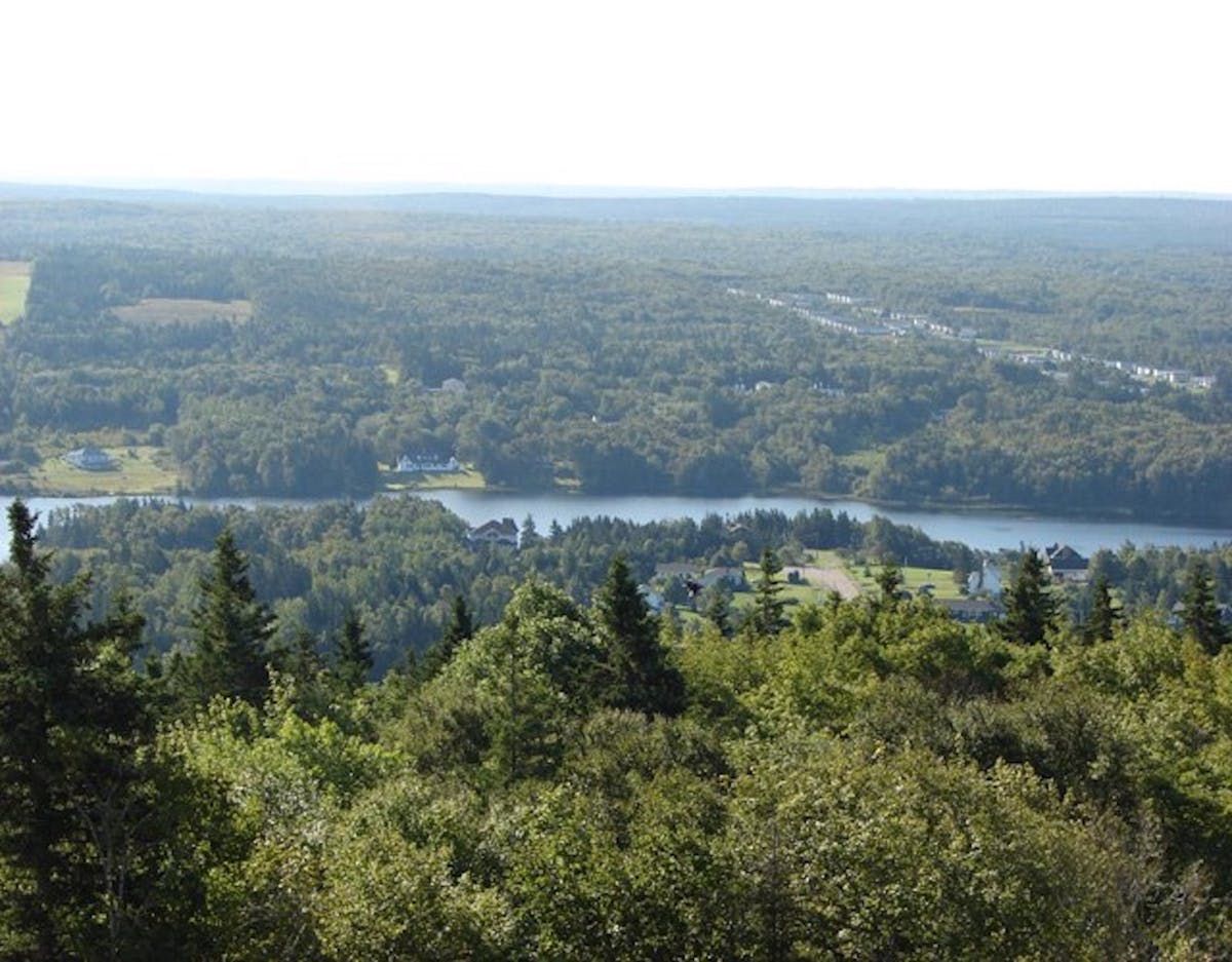 'Highly misleading': Mining exploration company CEO blasts report on ...