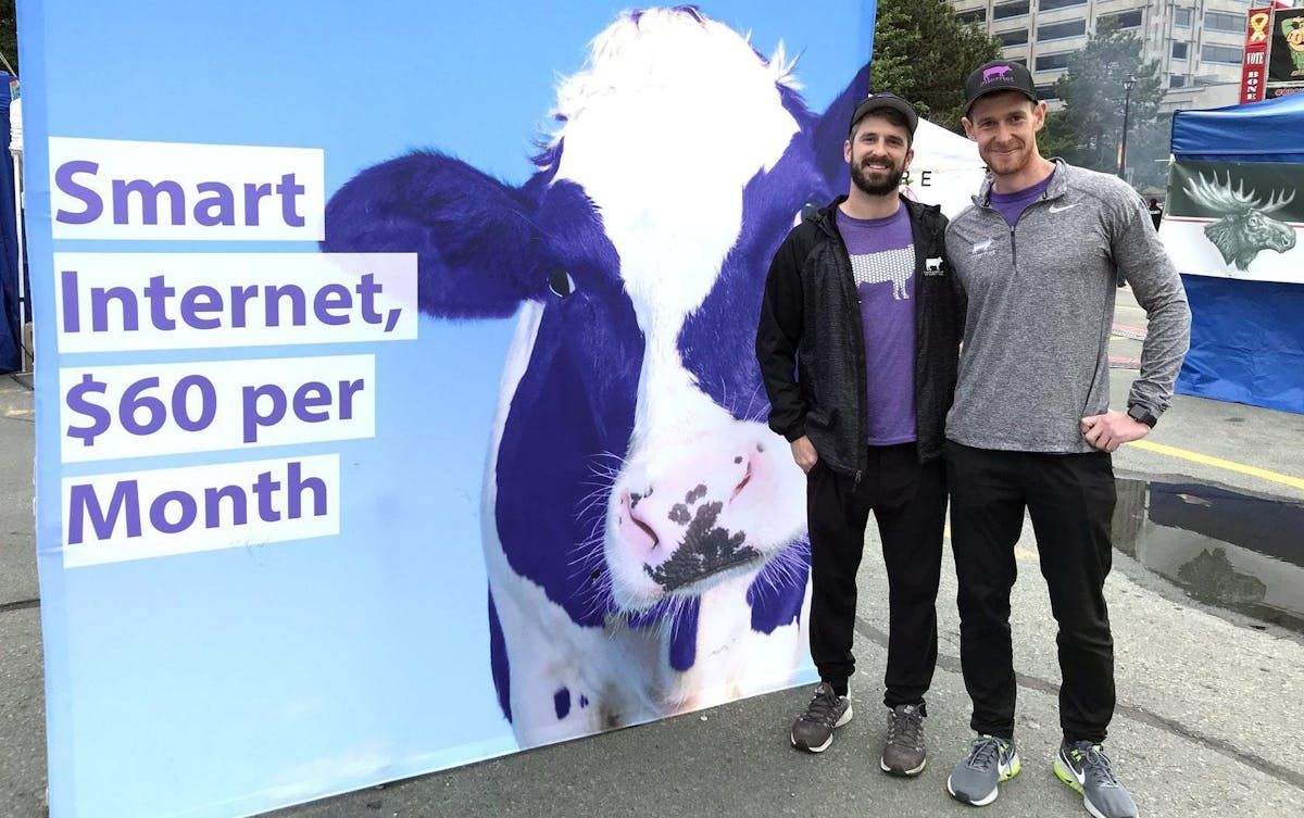 Purple Cow Internet expanding internet services to Newfoundland and ...