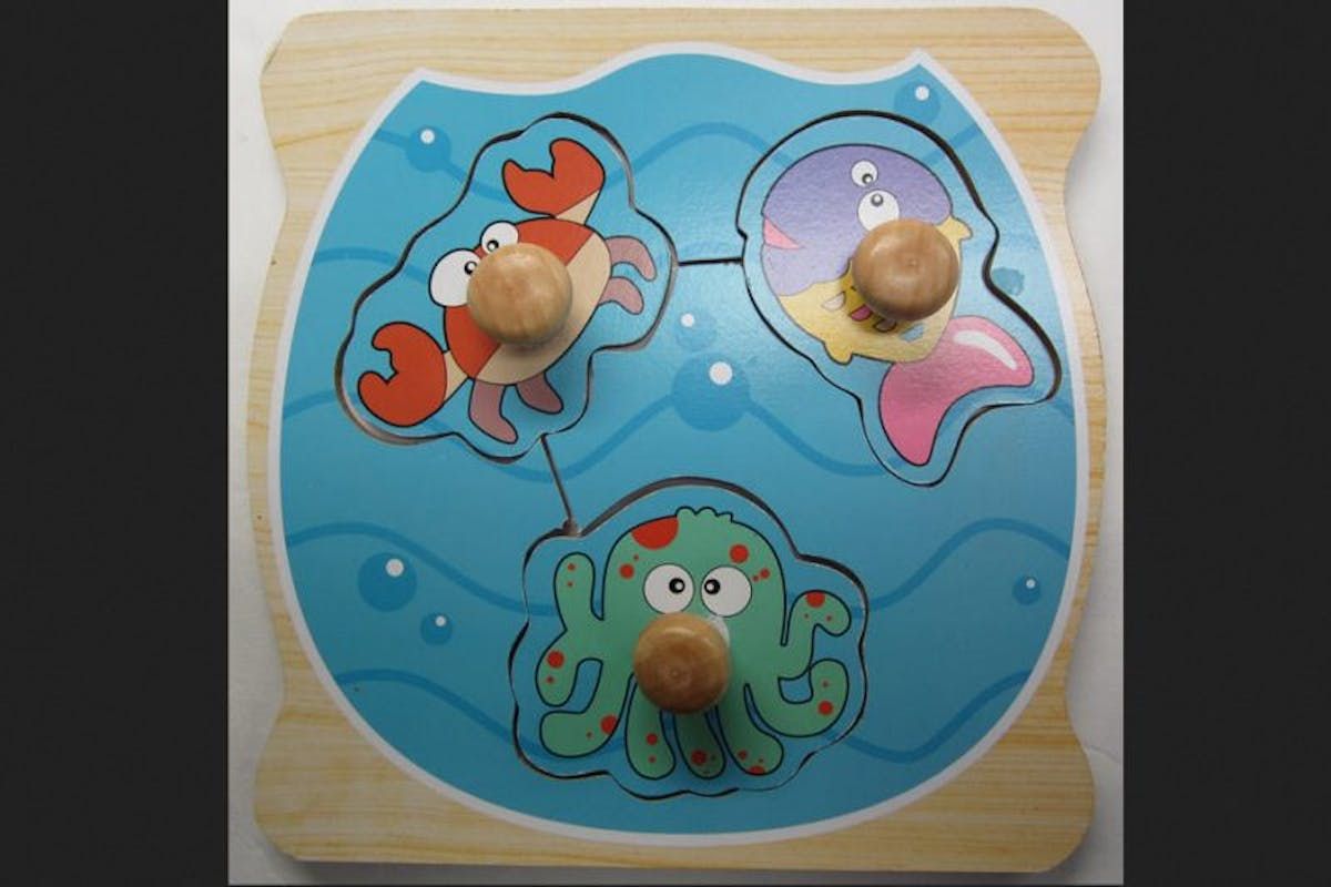 Health Canada recalls toys sold at Dollarama Gallery | PNI Atlantic News