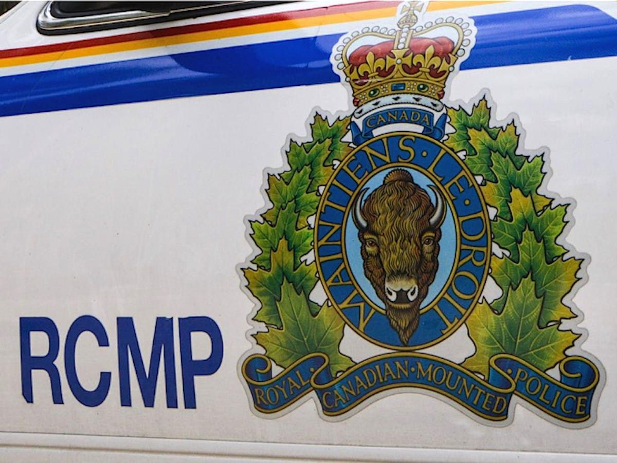 Shoplifter arrested after stealing from Gander Walmart hours after ...