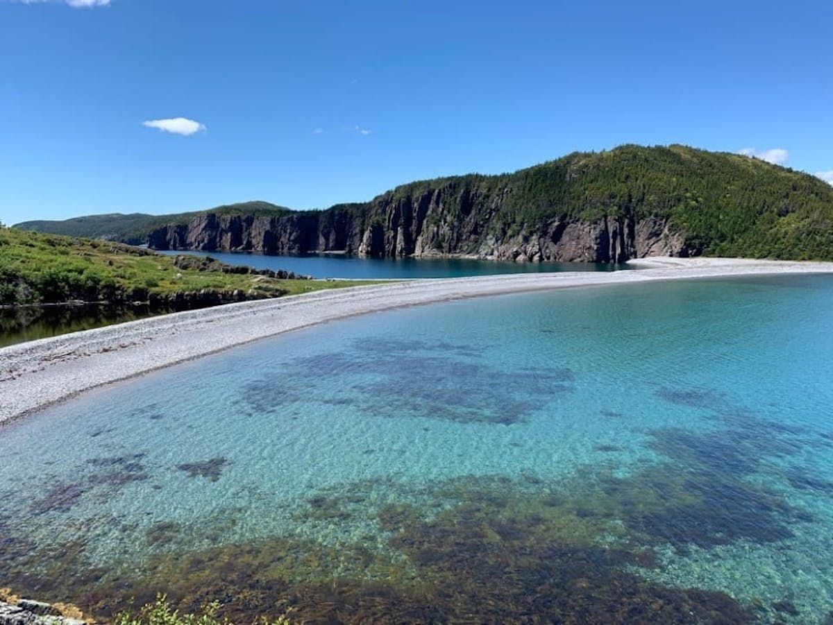 JOAN SULLIVAN: New book offers need-to-know things about Newfoundland ...