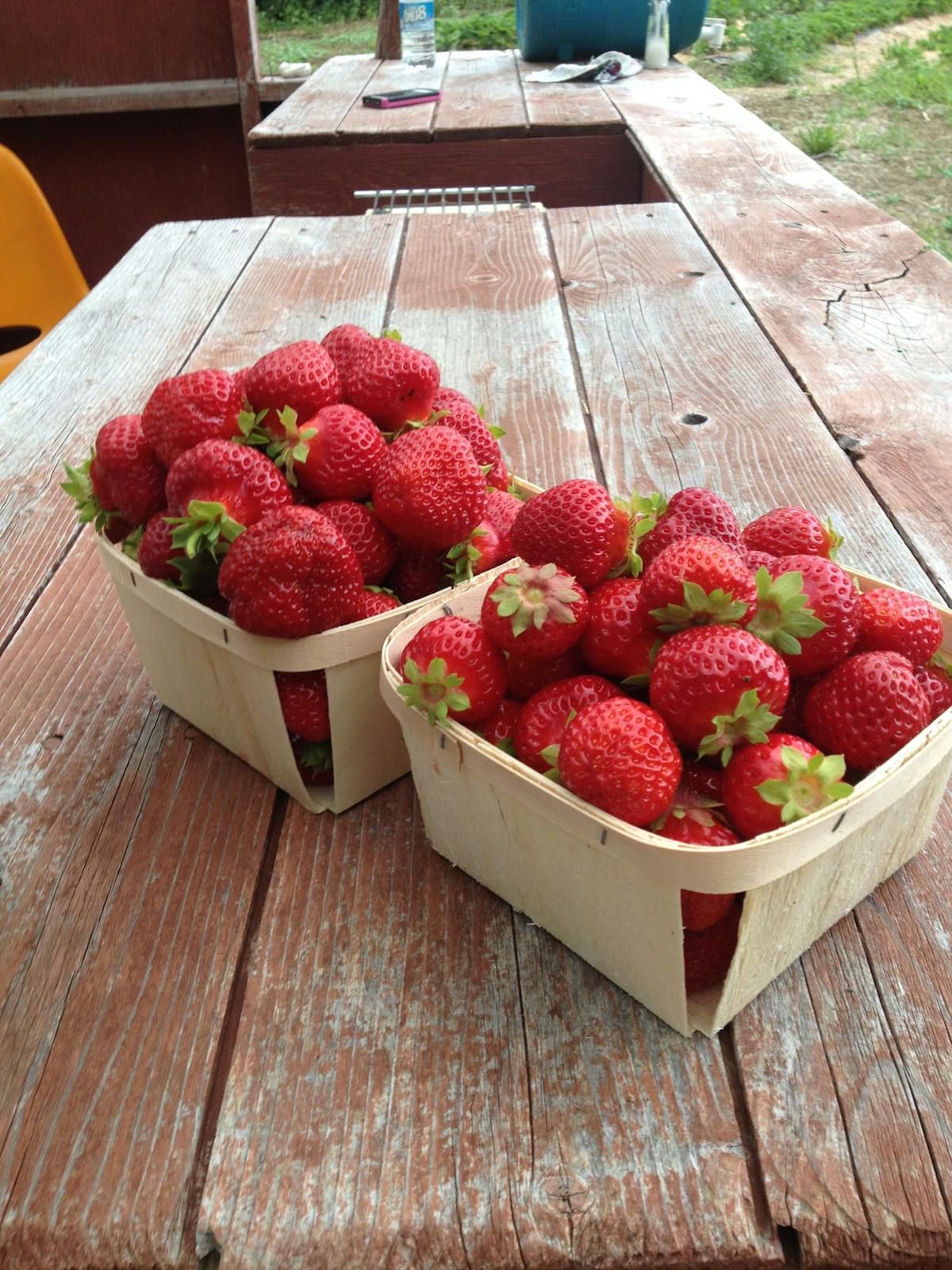 Rejoice! Berry season is here: How to pick, keep and use fresh berries ...