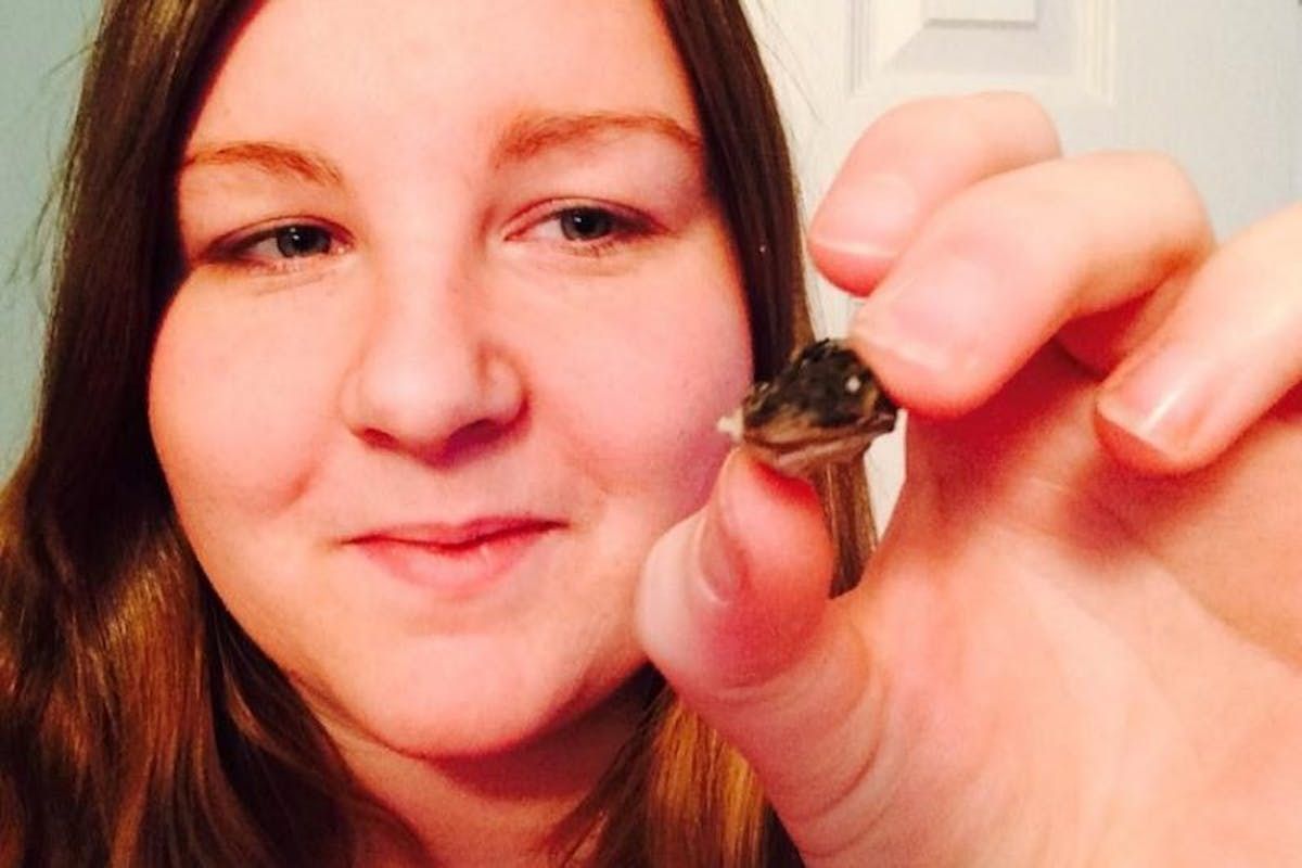Churchill Falls woman cooks frozen veg and finds a reptile head Gallery | PNI Atlantic News