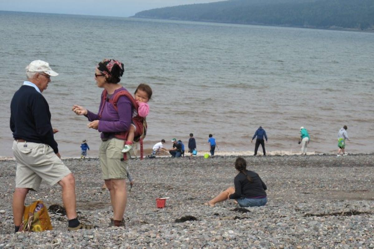Beachcombing fun: Fundy Rocks rocks Scott's Bay Gallery | PNI Atlantic News