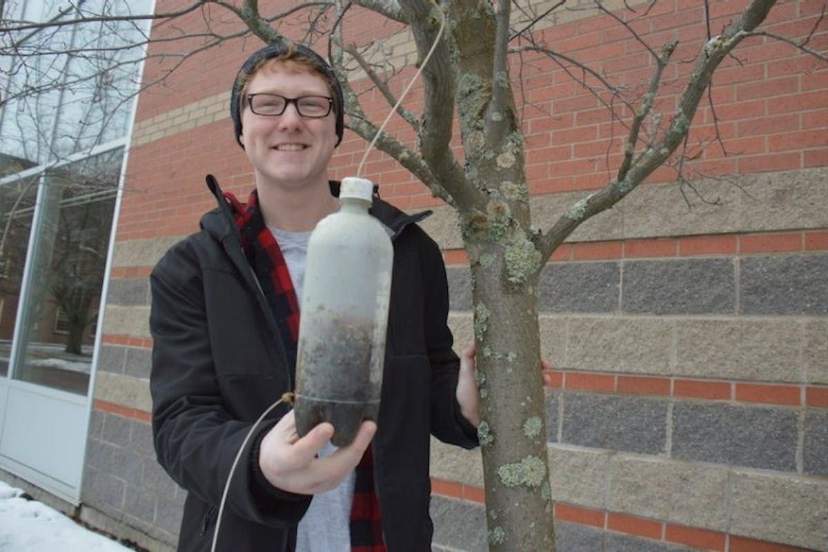 UPEI undergrad tracking Charlottetown's urban foxes Gallery | PNI ...