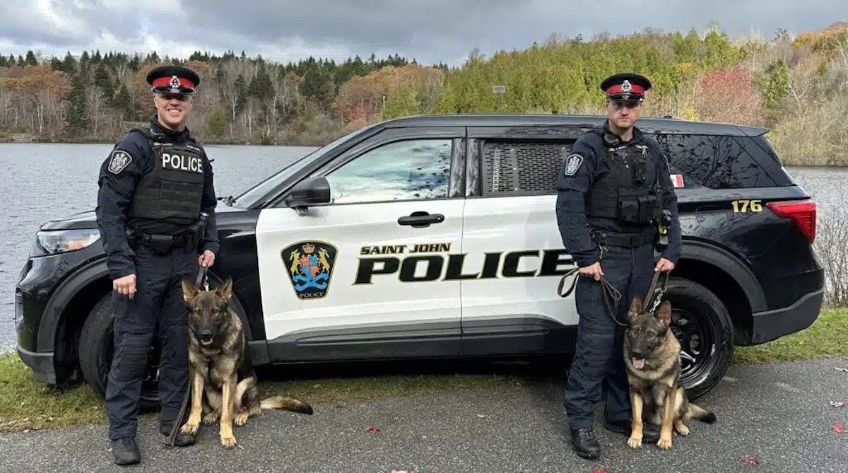 Saint John Police welcomes new K9 officers | PNI Atlantic News