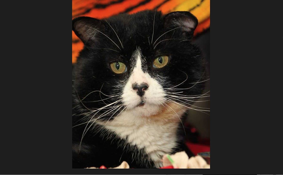 Colchester: A prison program, sharing loss and a special shower | PNI ...