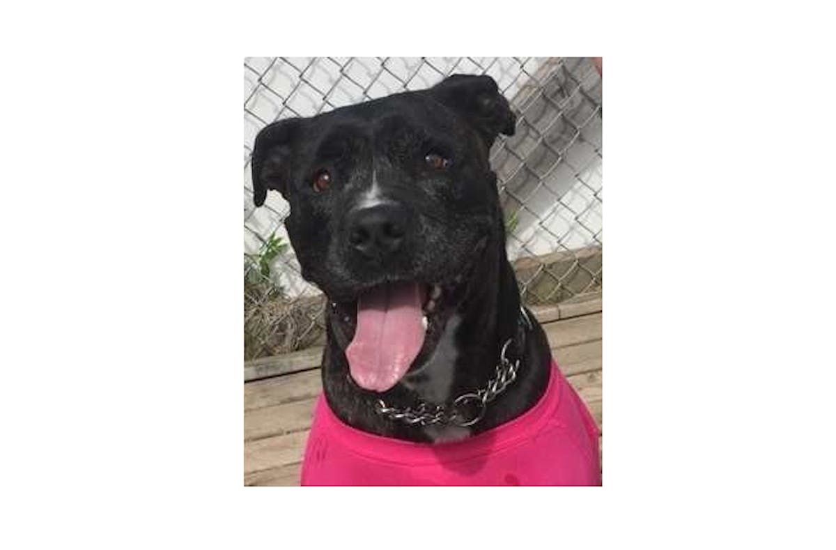 Colchester: Fire, cycling and radio | PNI Atlantic News