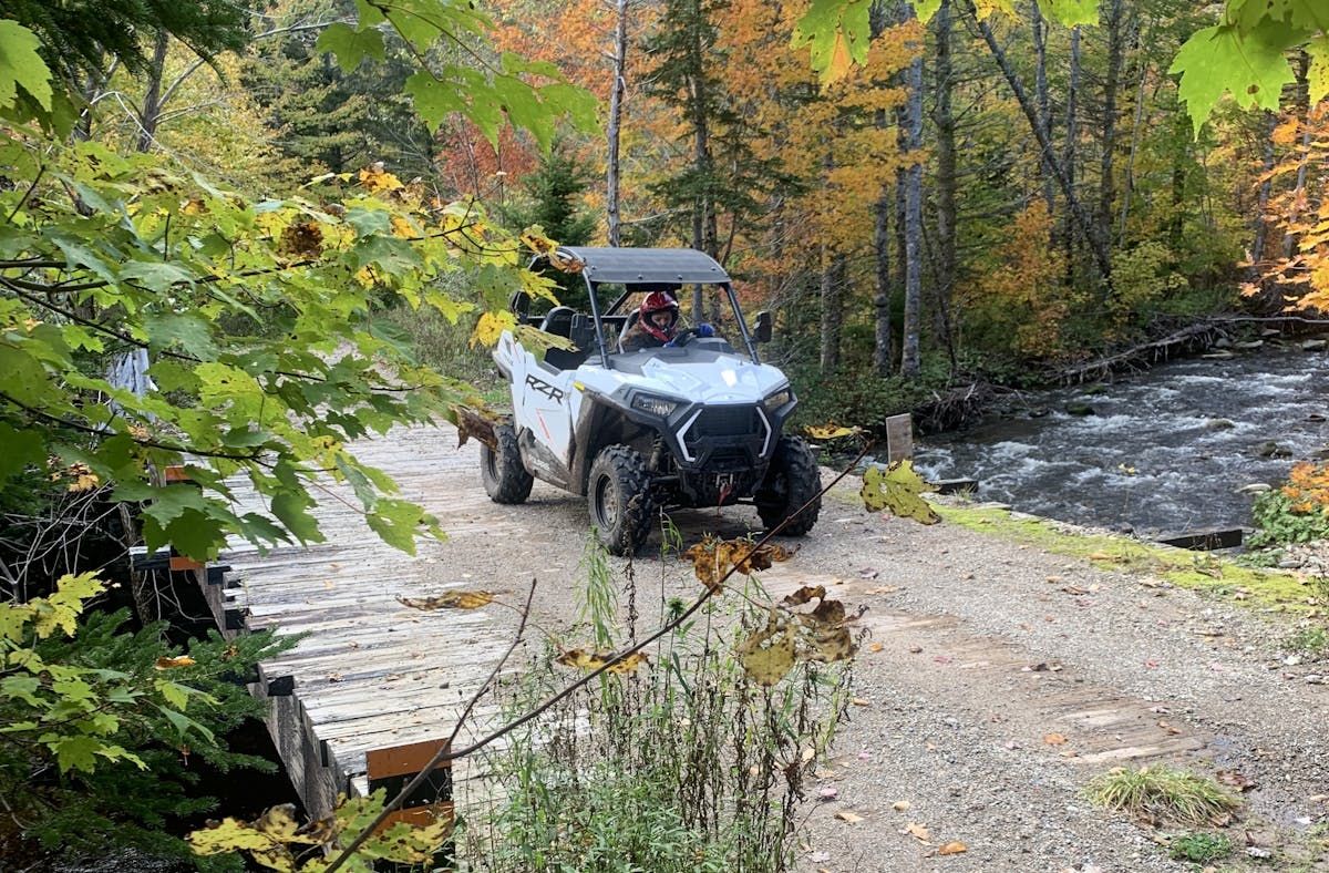 SHERRY MULLEY MACDONALD: It’s the most colourful time of the year | PNI ...