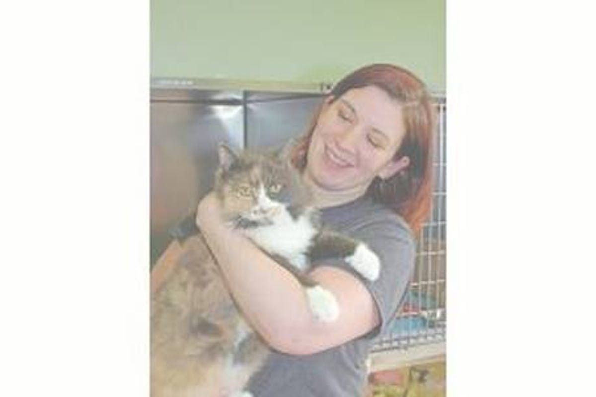 20 Questions for Simone Browne | PNI Atlantic News