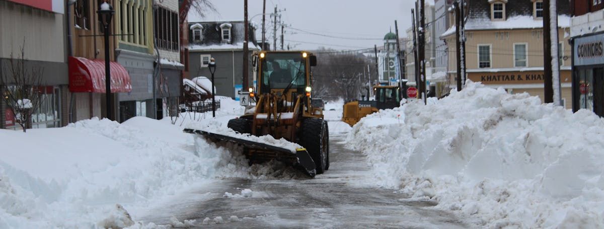 White G’Wan or Frigid Fiona? What's the best name you've heard for Cape ...