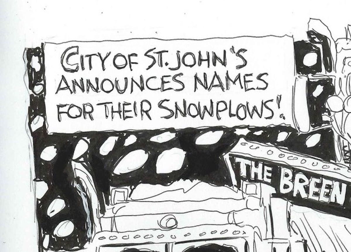 KEVIN TOBIN CARTOON: What's your best name for a City of St. John's ...