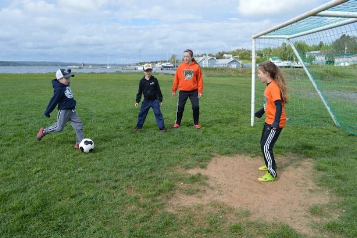 Work underway on major upgrades to Munro Park soccer field Gallery ...