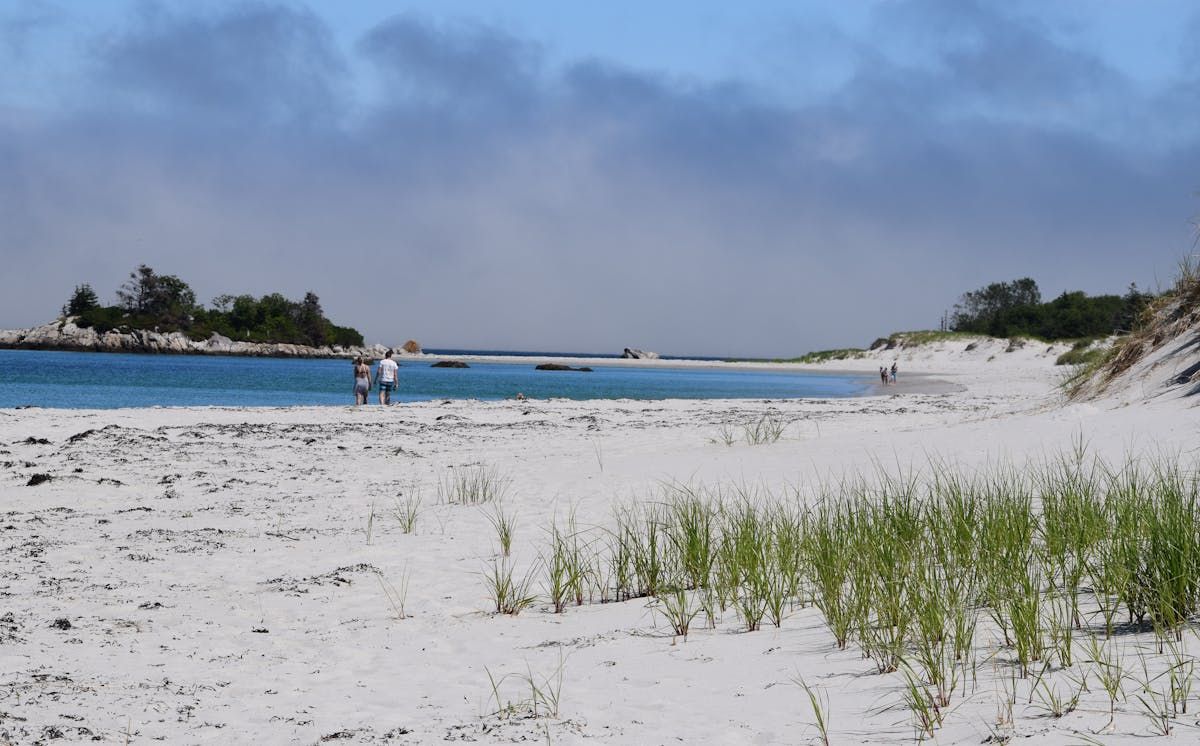 Alluring Carters Beach on South Shore in line for provincial park ...