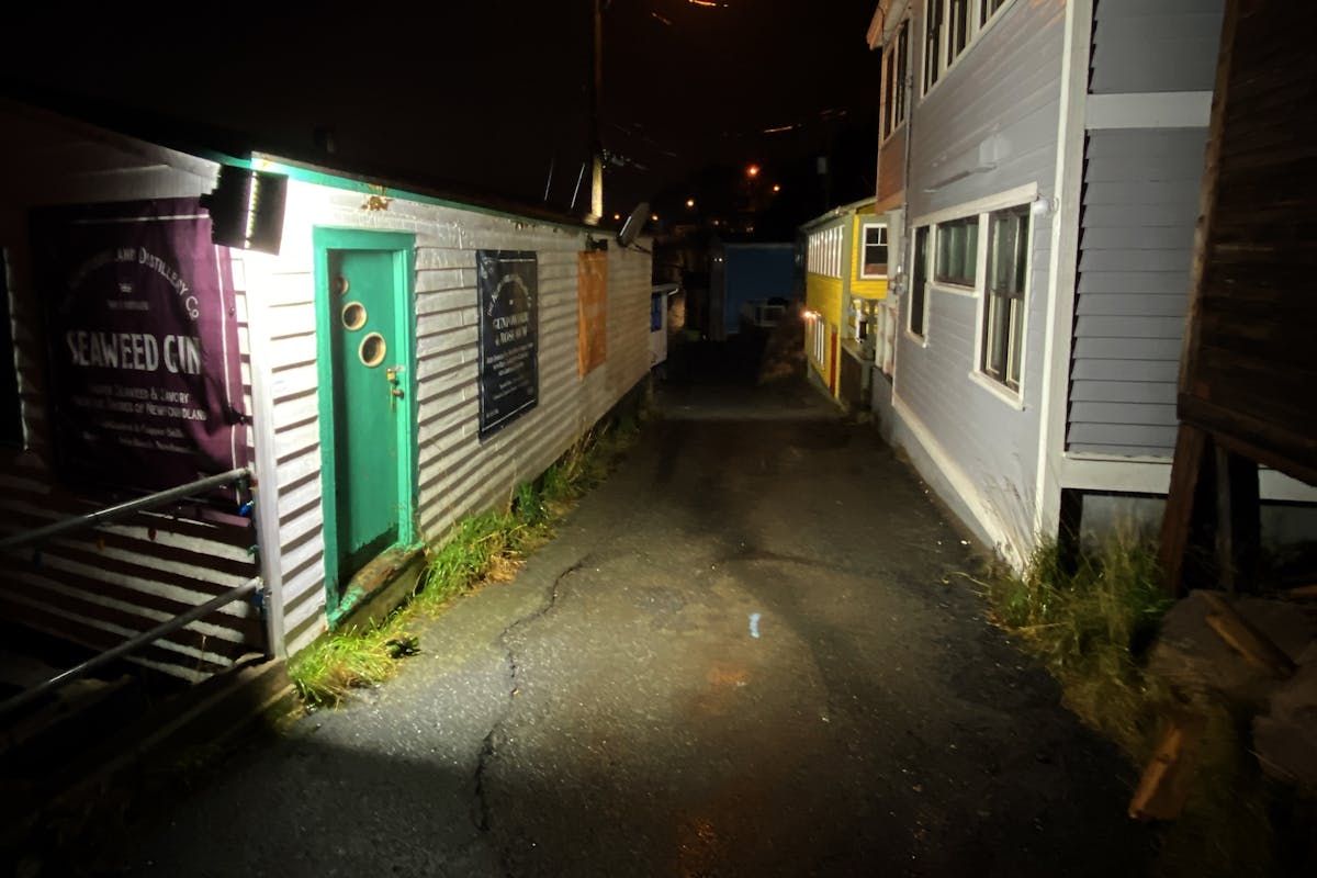 St. John's Deputy Mayor Sheilagh O'Leary wants nuisance lighting bylaw ...