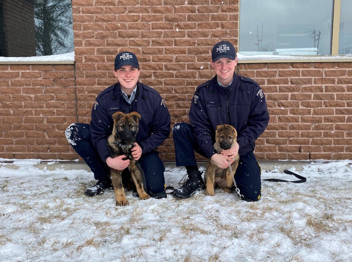 These RCMP officers in Stephenville are going to the dogs... and loving ...