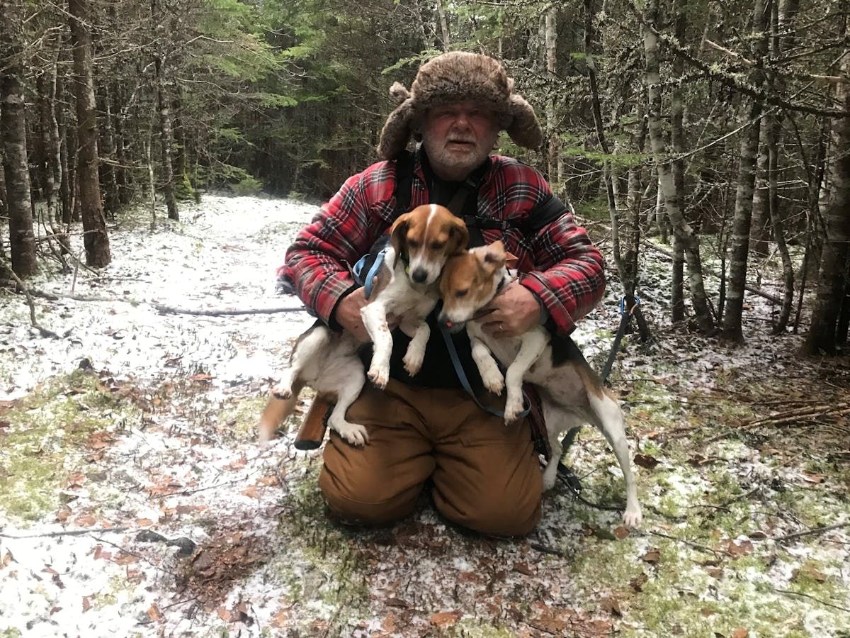BOB WAKEHAM: How two beloved beagles, lost in the woods near Flatrock ...