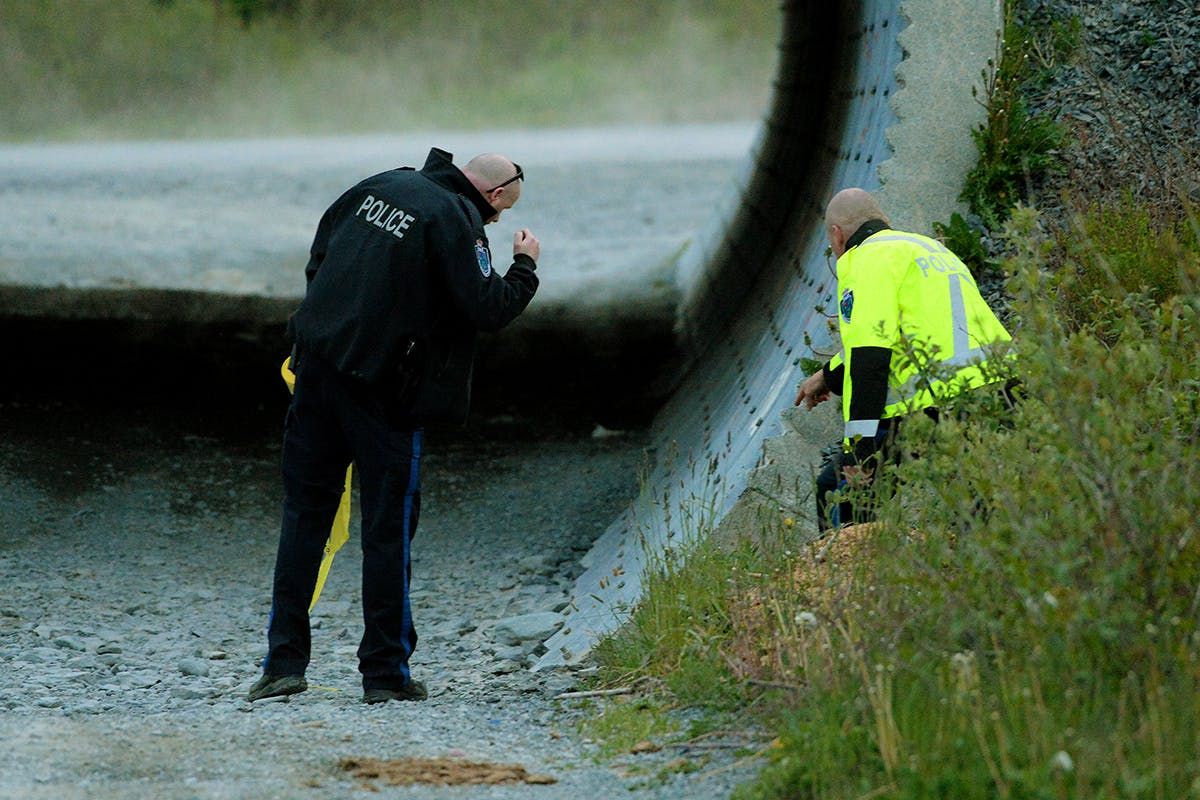 Brandon Chafe charged with attempted murder in St. John's shooting ...