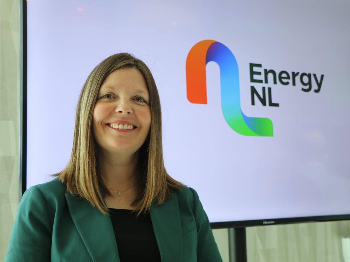Energy Newfoundland and Labrador CEO, former PC cabinet minister ...