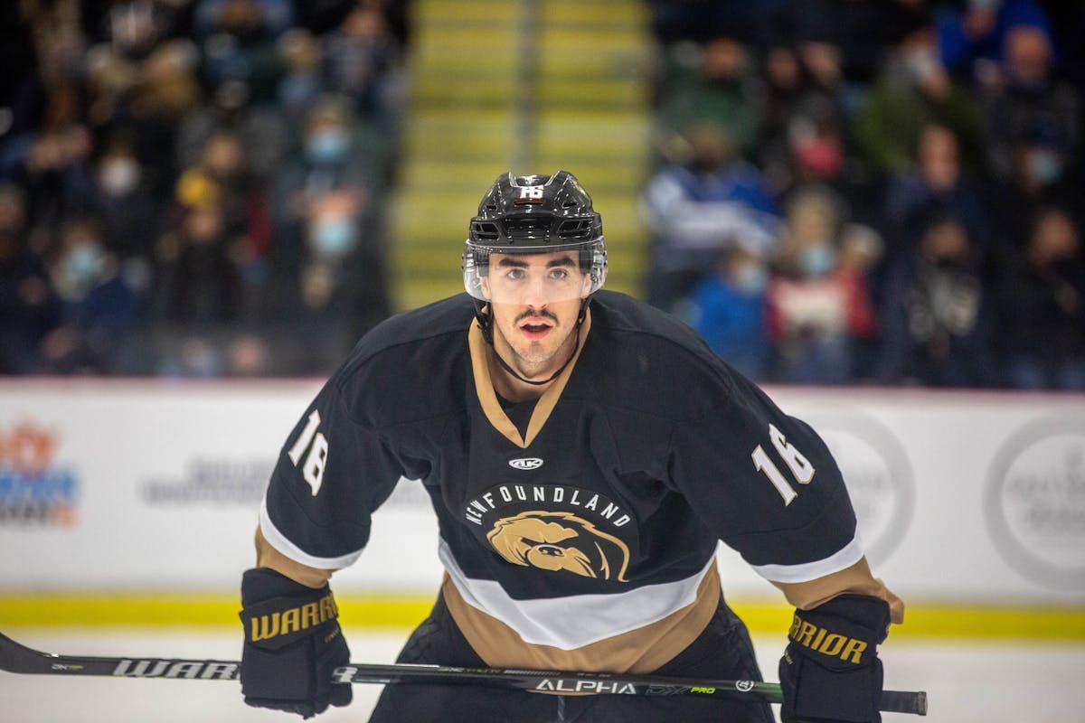 Newfoundland Growlers re-sign St. John's native Nathan Noel | PNI ...