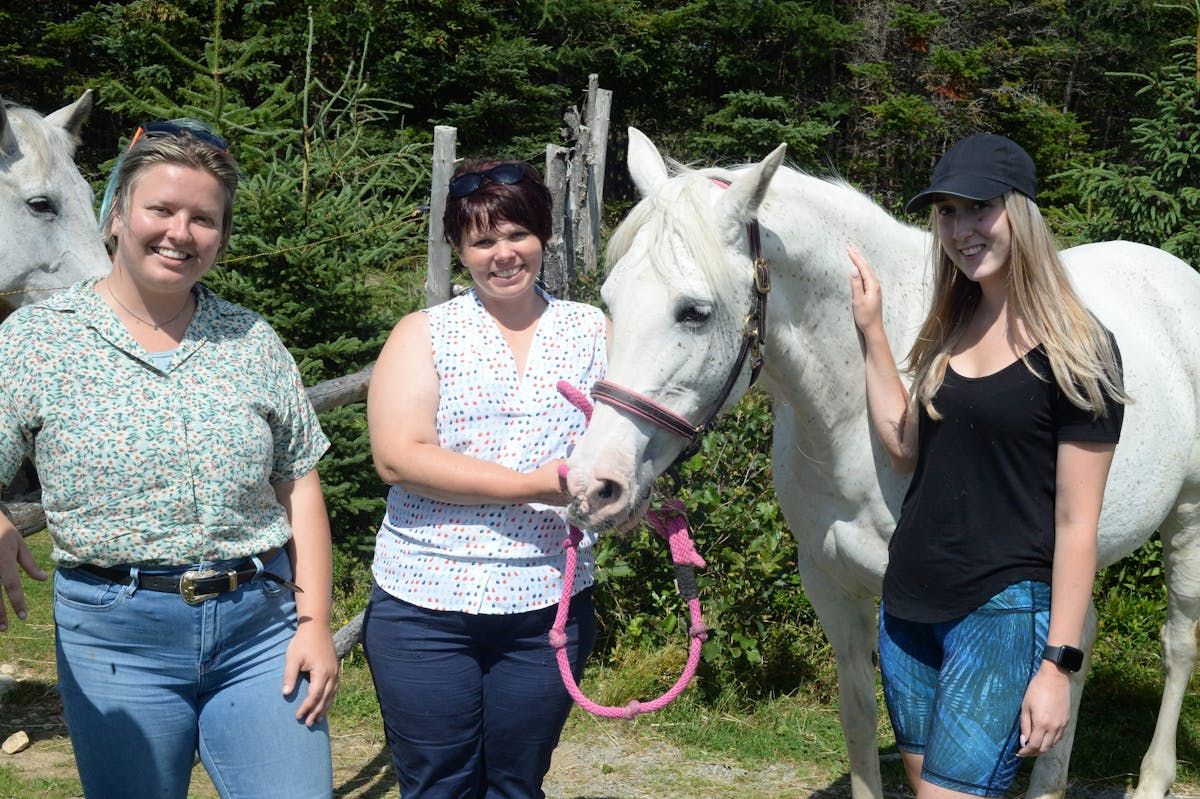 Spirit Horse Day continues to honour Alison Walsh’s memory | PNI ...