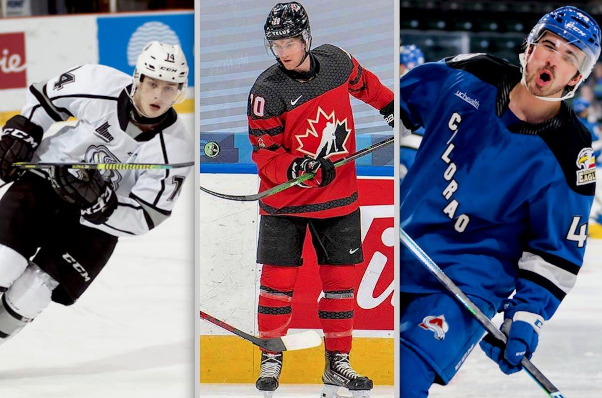 Time for some Newfoundland and Labrador draft history? | PNI Atlantic News