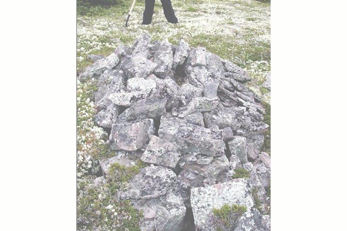 Pennecon subsidiary praised for preserving stone trap | PNI Atlantic News