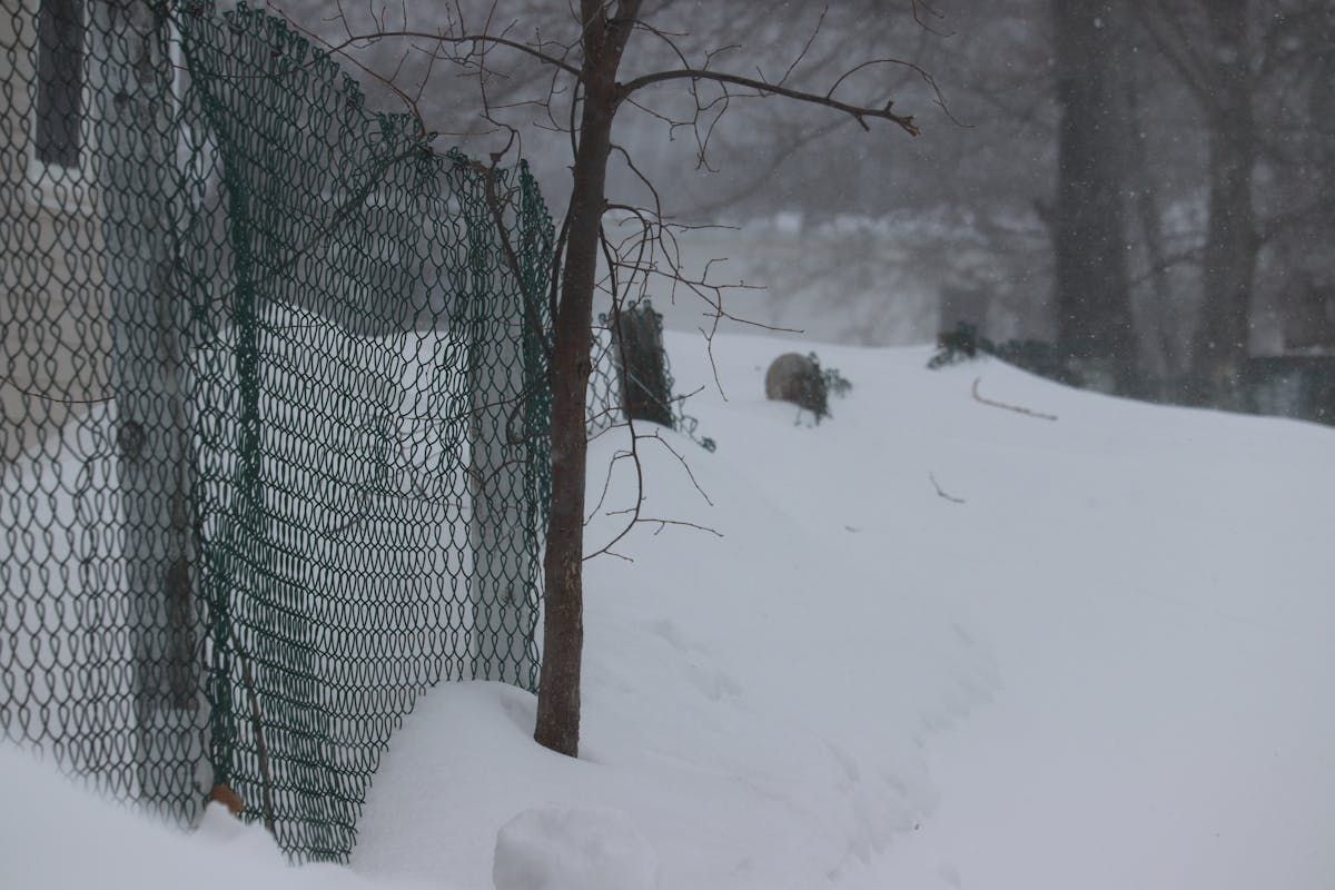 UPDATED: Storm drops more snow on P.E.I., knocks out power for ...