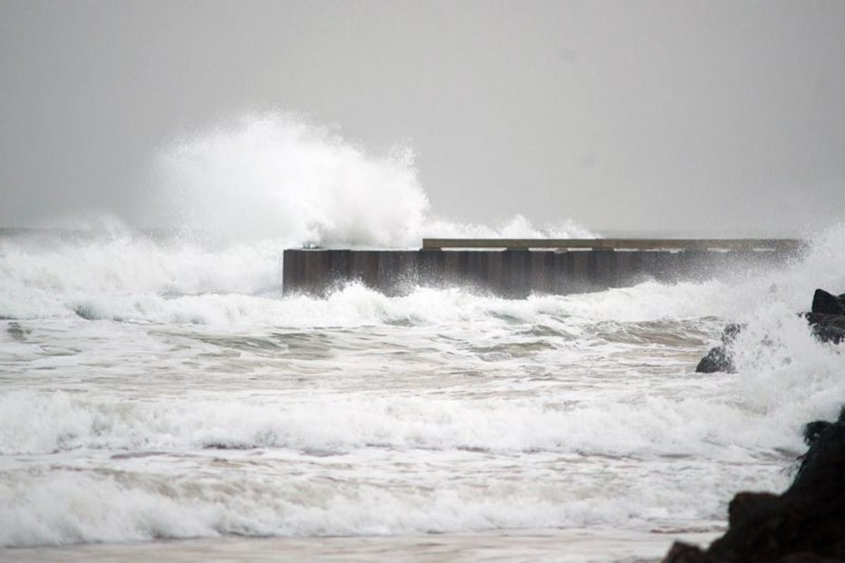 Ocean Week to be celebrated at Iona with films, displays | PNI Atlantic ...