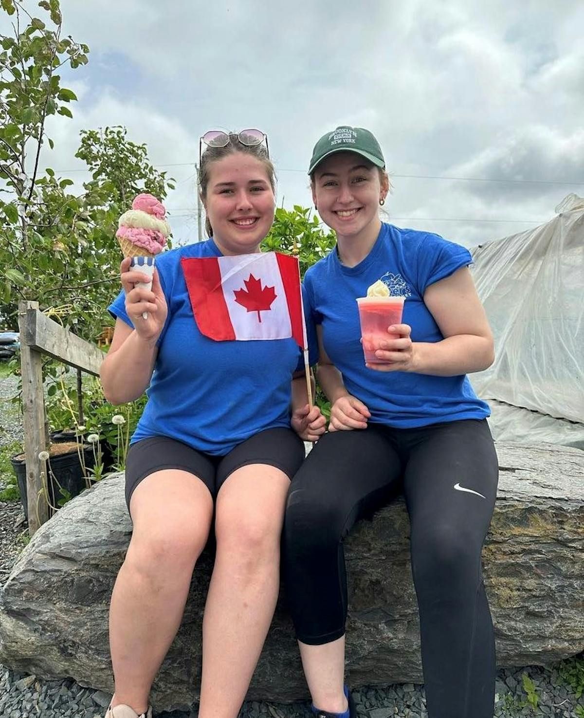 Summer Scoops: Farm-fresh sundaes being served up at Lester's Farm ...