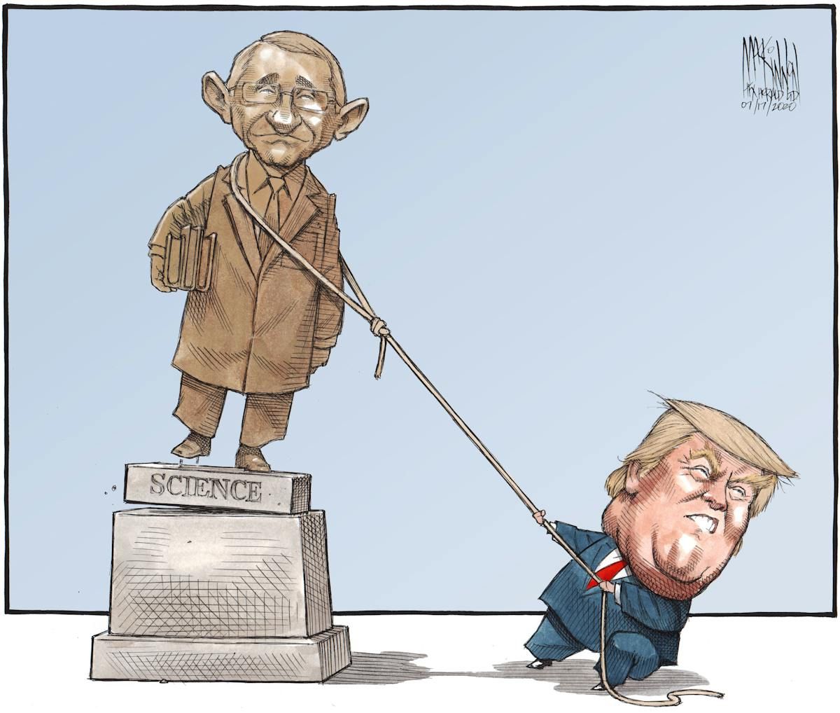 Bruce MacKinnon's best cartoons of 2020 | PNI Atlantic News