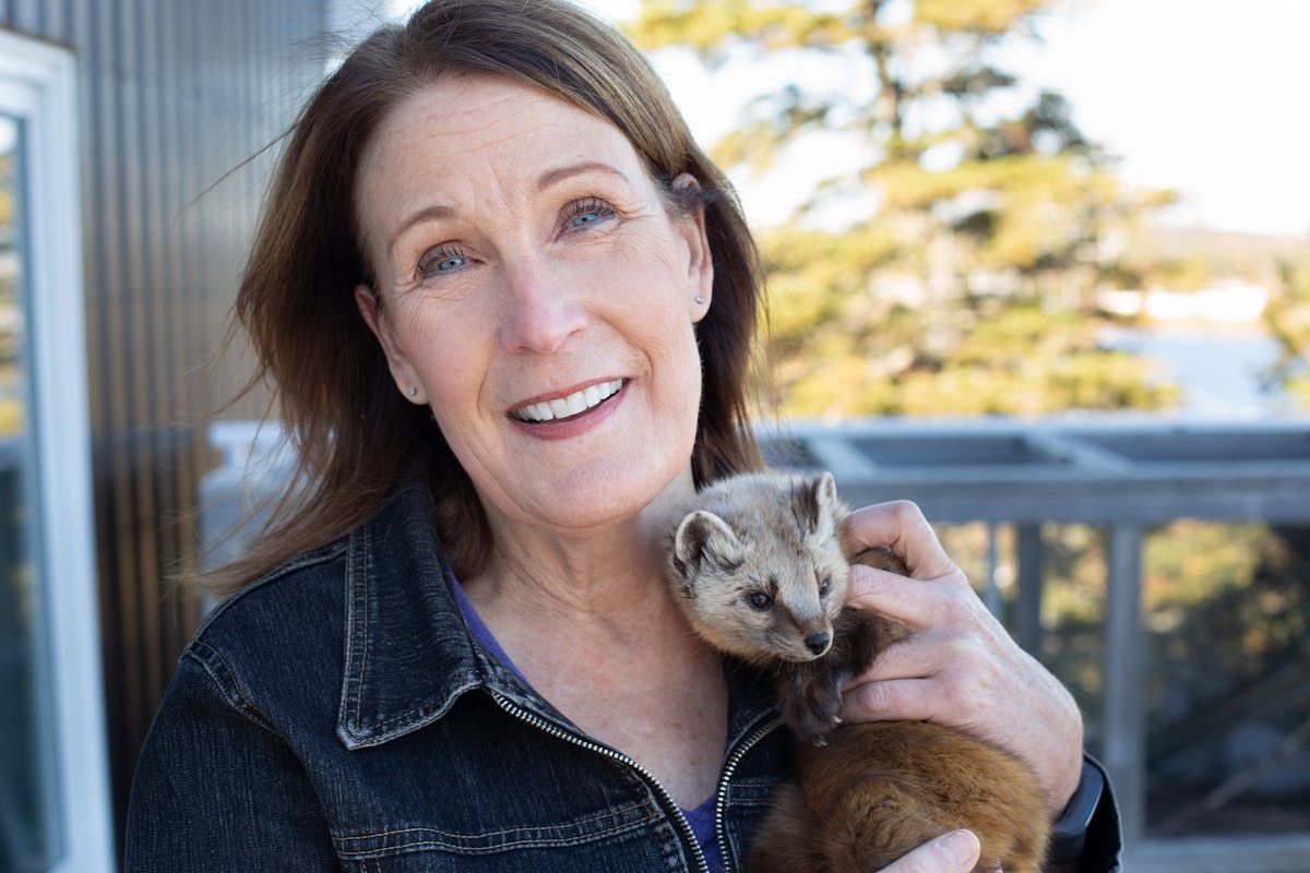 Hope for Wildlife not to blame for lake water contamination, Swinimer ...