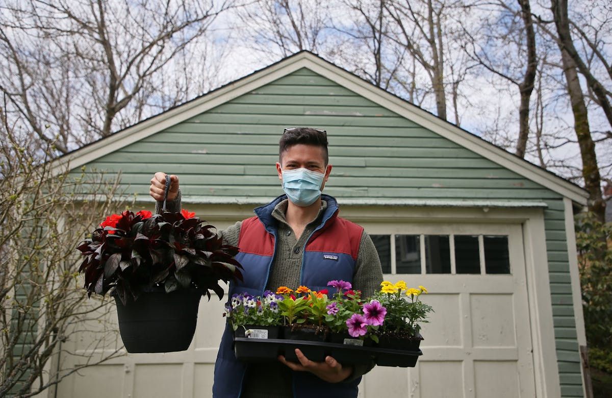 Online garden shop Halifax Plants draws on founder's roots | PNI ...