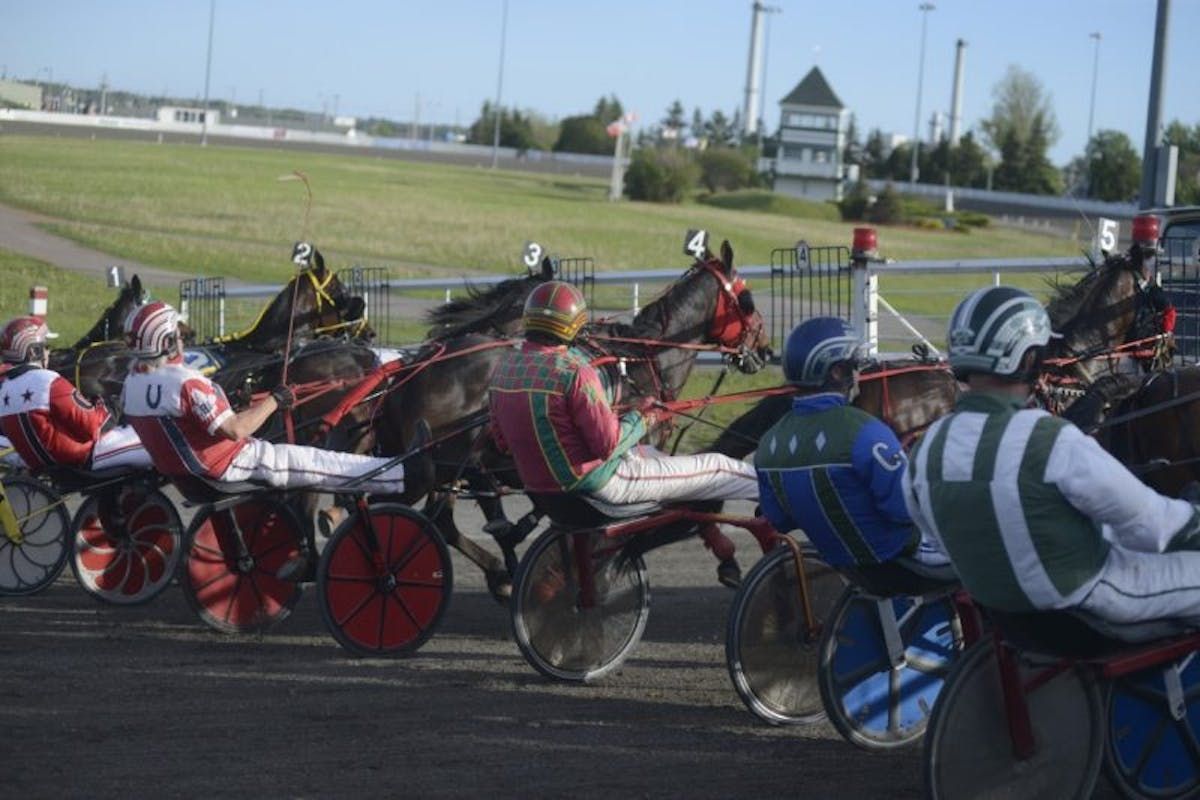 Pacing mares in spotlight at CDP | PNI Atlantic News