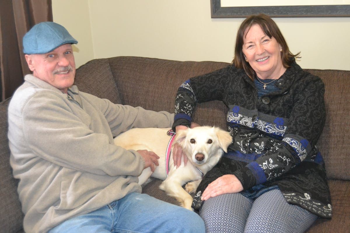 P.E.I. native rescues dogs in Bahrain and finds them new homes | PNI ...