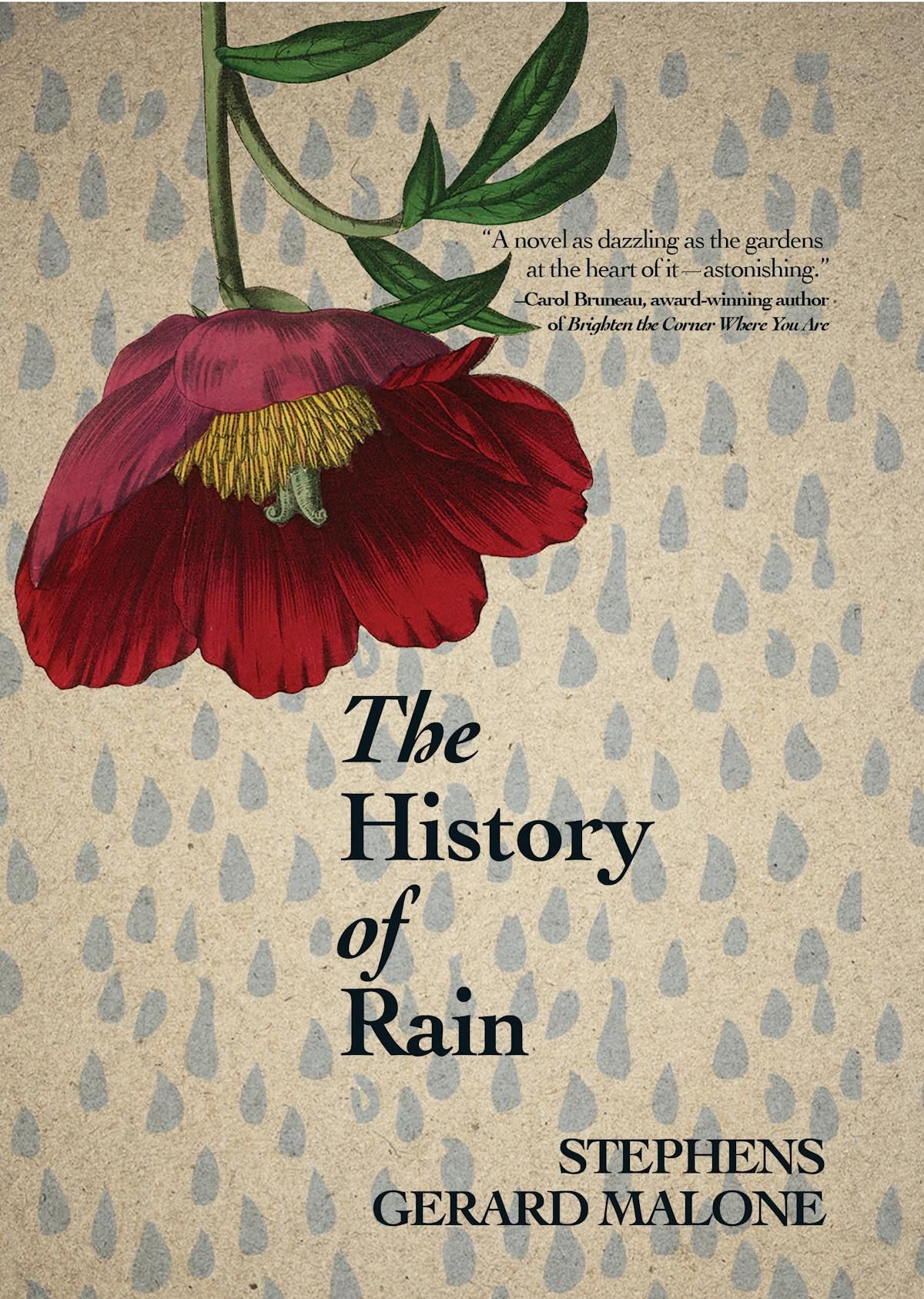 THE BOOK SHELF: The History of Rain delves into loss and regret | PNI ...