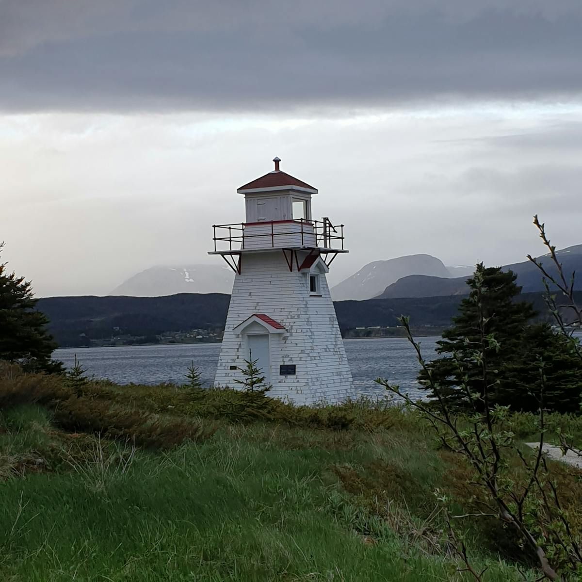 'The lighthouse shone bright on us': Six special Newfoundland ...