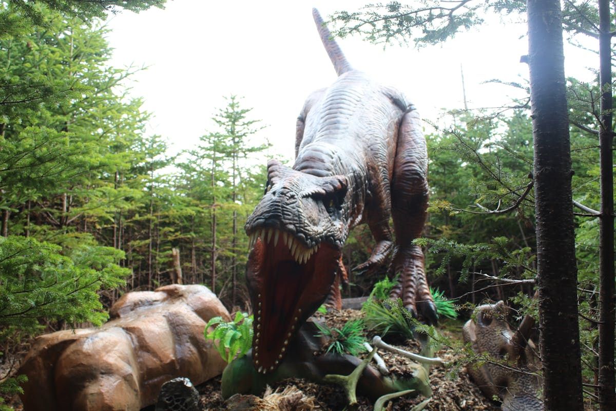 Dinosaur sighting in St. John's! How one local resident transformed his ...