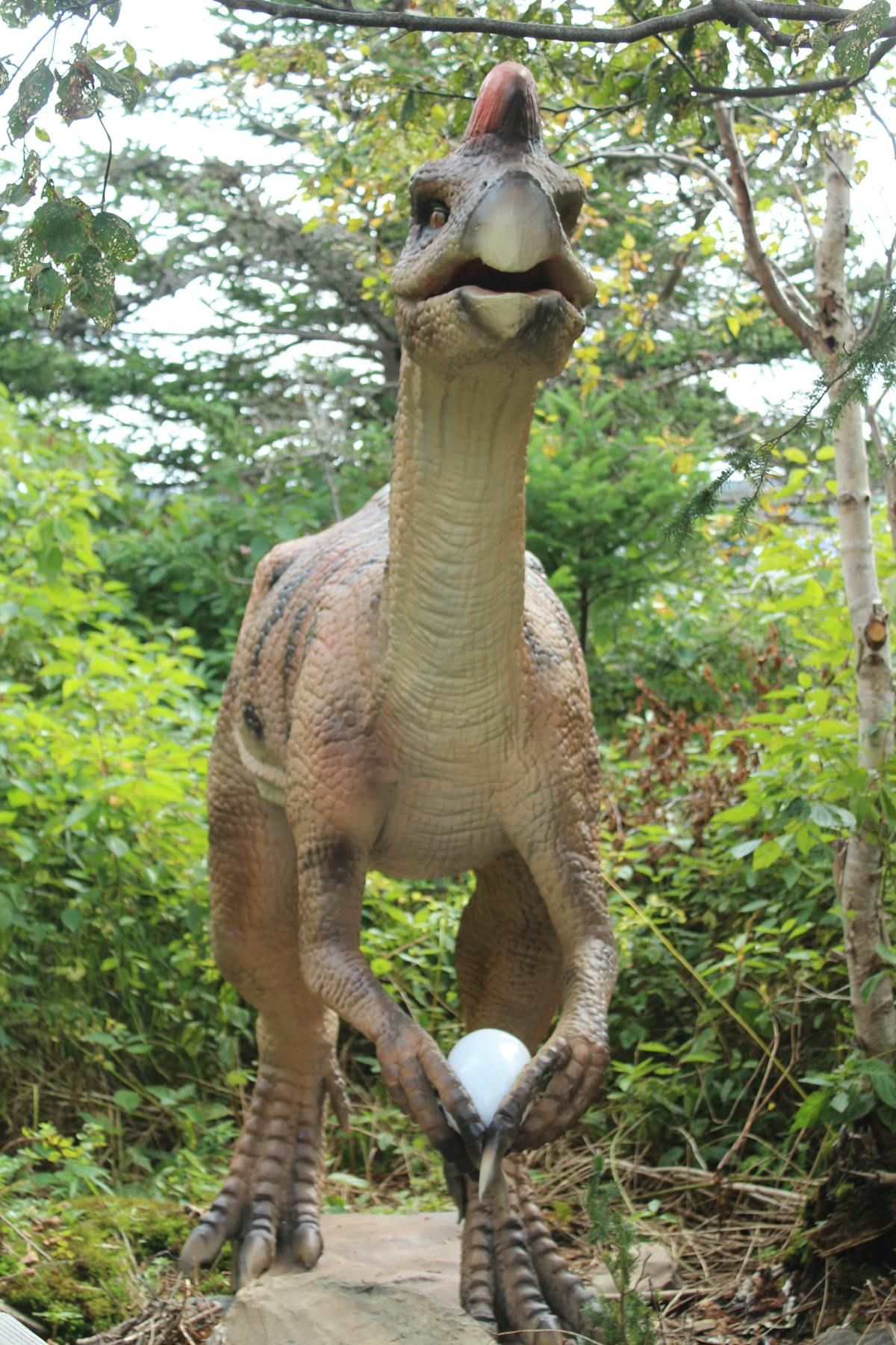 Dinosaur sighting in St. John's! How one local resident transformed his ...