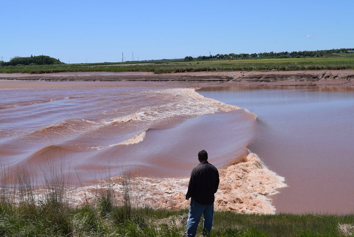 What a bore! Truro's 'marvellous' tidal event a daily tourist draw ...