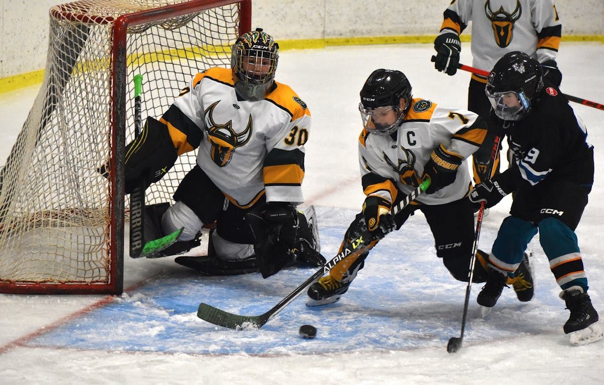 Hockey Nova Scotia announces code of conduct for 2024-25 season | PNI ...