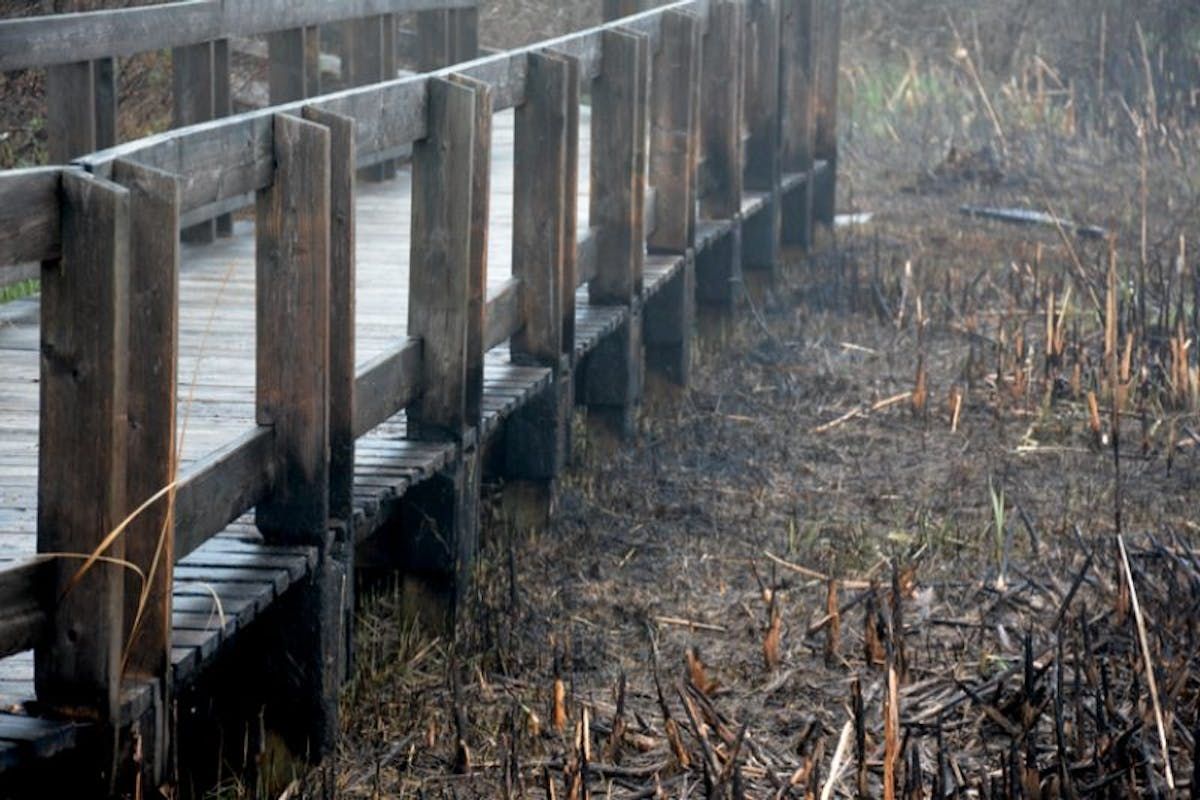 Intentional or accidental? Fire damages Yarmouth County trail’s ...