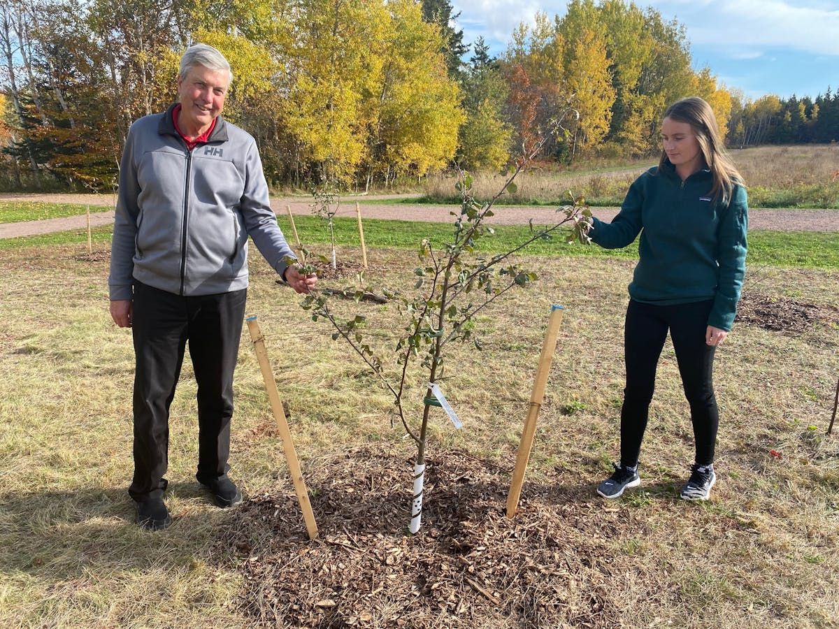 Trees planted for edible orchard in Stratford | PNI Atlantic News