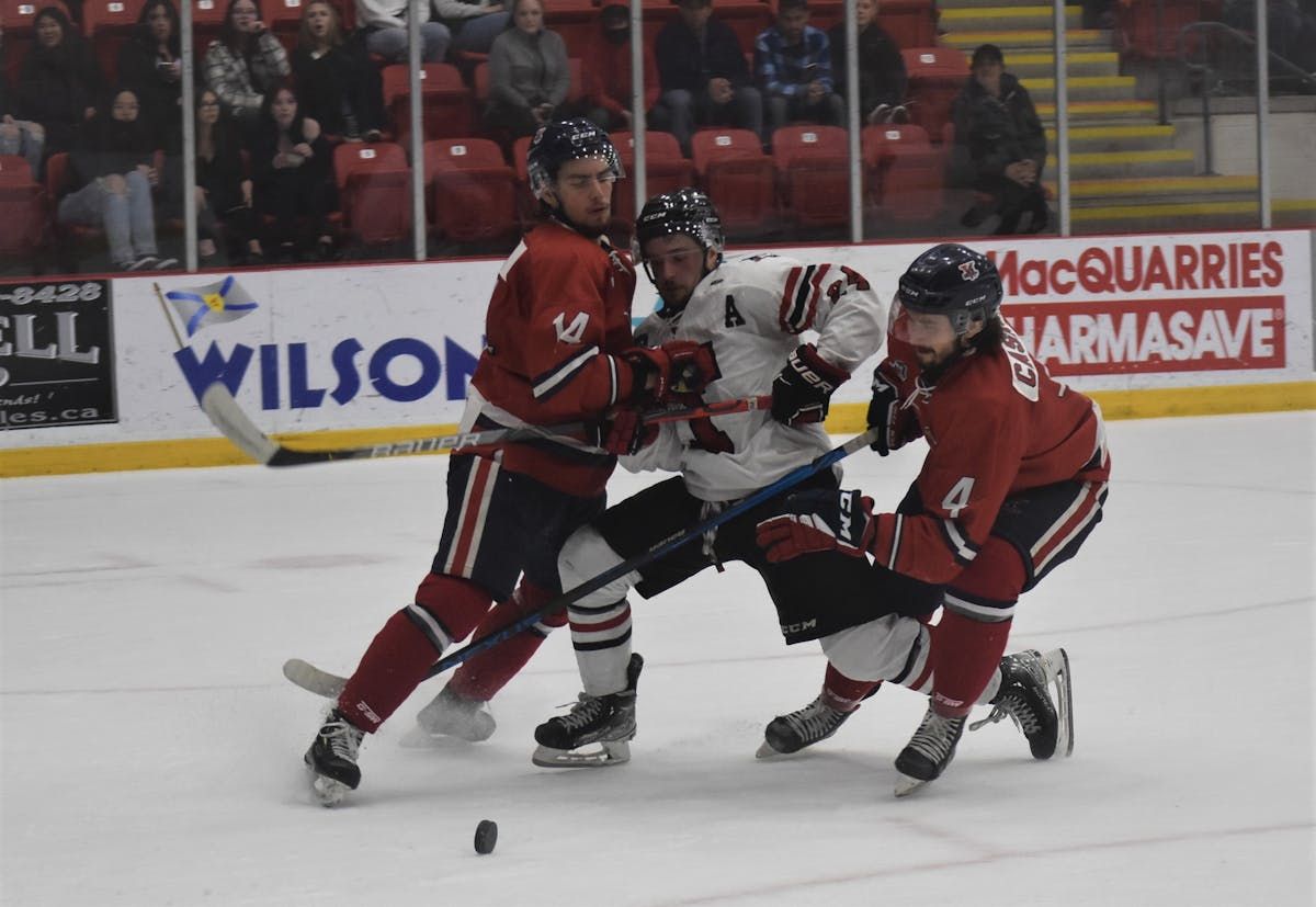 Truro’s Gavin Hart signs pro hockey contract in Sweden | PNI Atlantic News