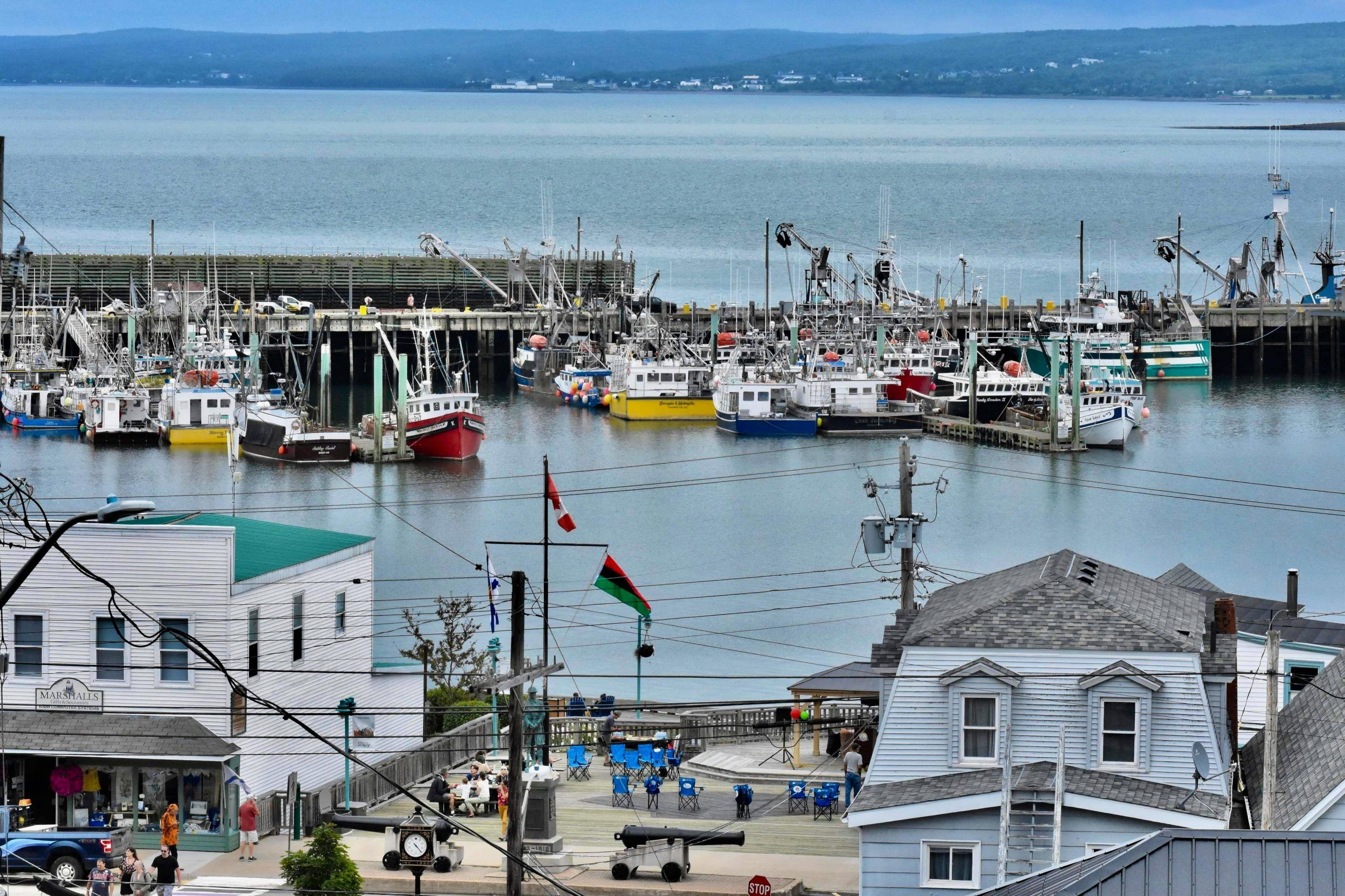 Municipal Election 2024: New Digby mayor acclaimed, eight people ...