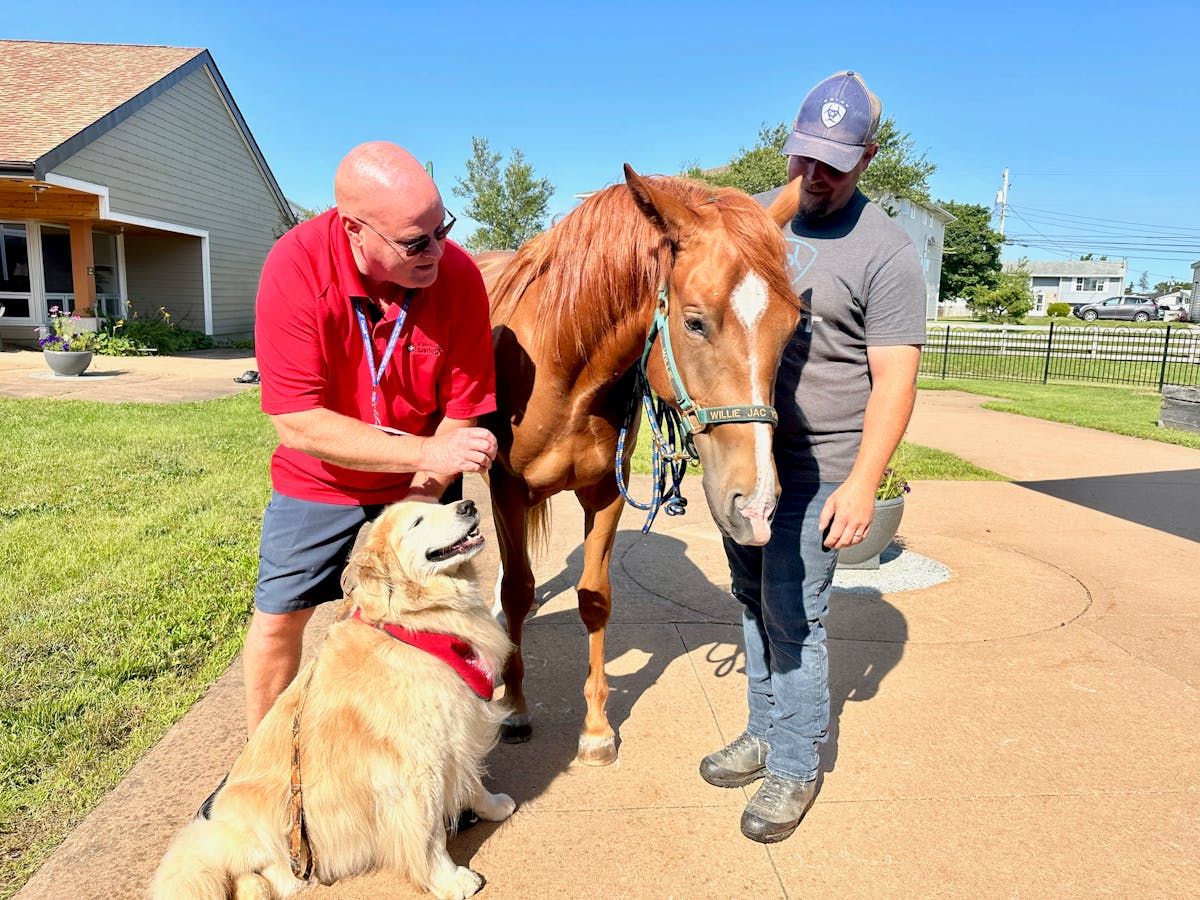 Walt & Willie: Dog and horse bring joy, comfort and smiles to seniors ...