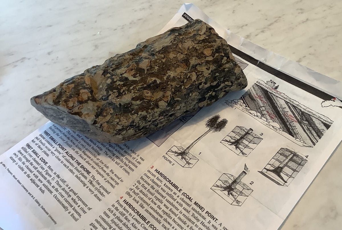 ALAN WALTER: Plan a post-COVID trip to Joggins | PNI Atlantic News