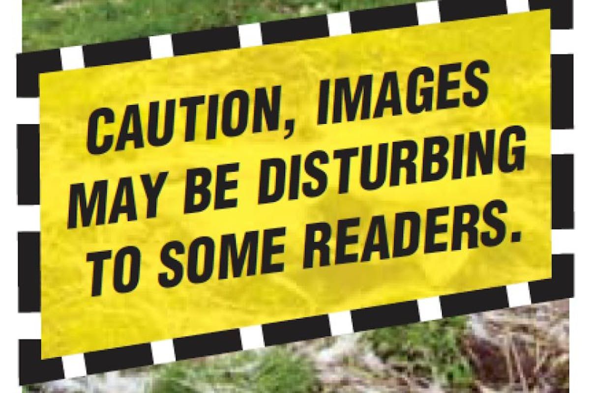 West Hants council concerned with dumping of animal carcasses Gallery ...